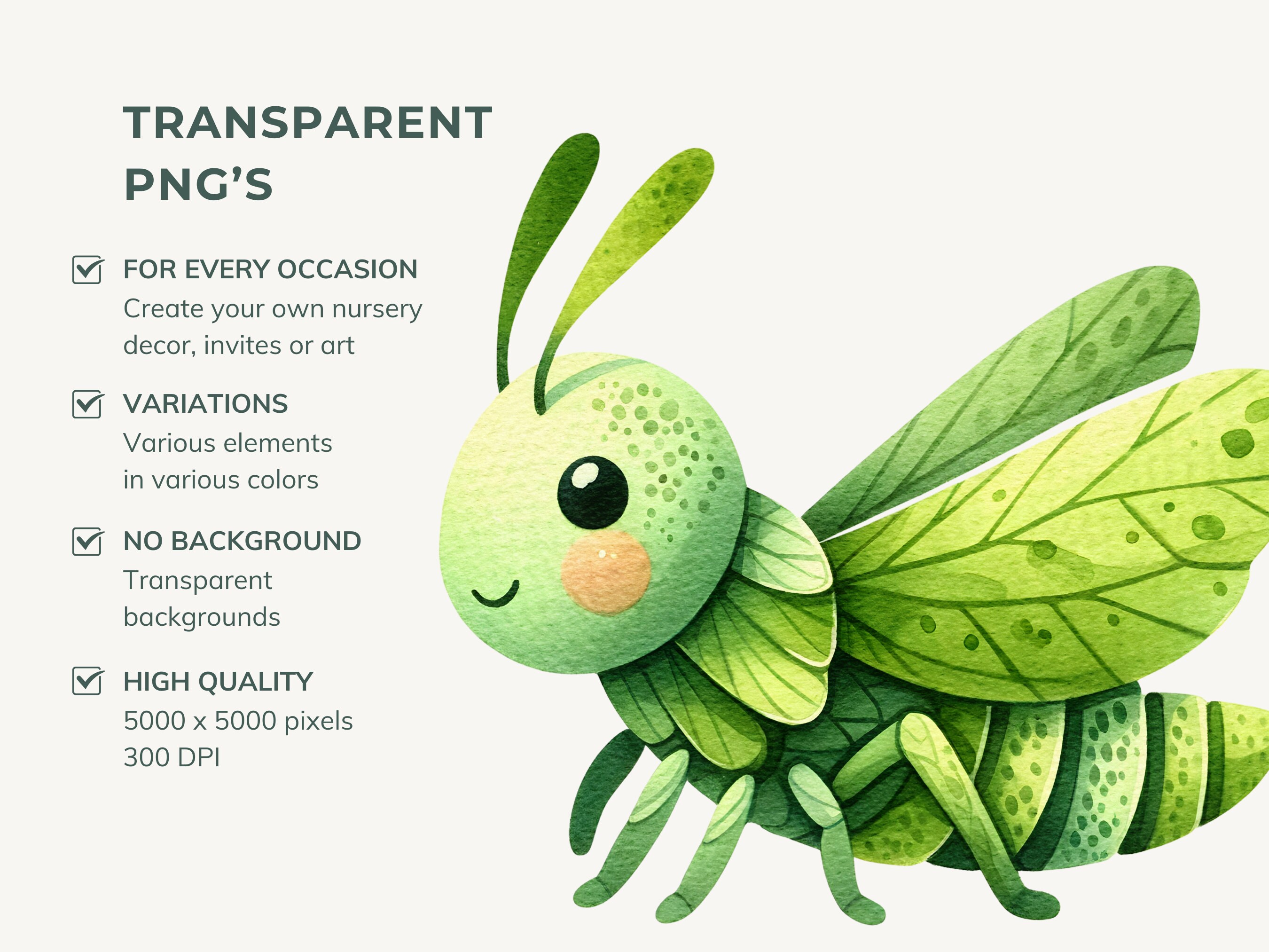 Spring Insects Bugs Watercolor Clipart Bundle Spider Butterfly ...