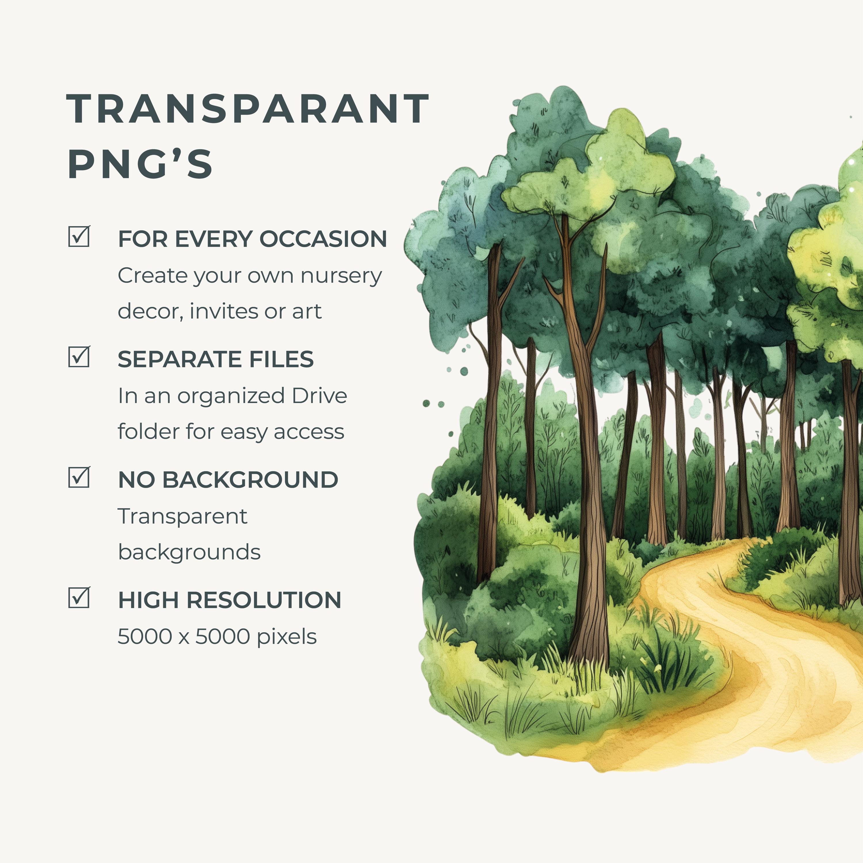 Little Red Riding Hood Watercolor Clipart Woodland Fairytale Red Hood ...