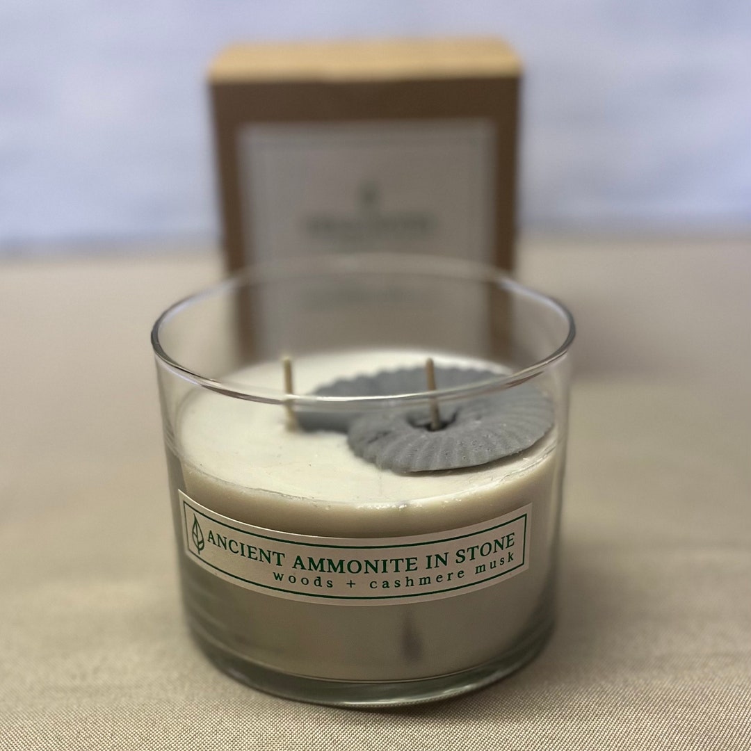 Ancient Ammonite in Stone Olive-soy Candle - Etsy
