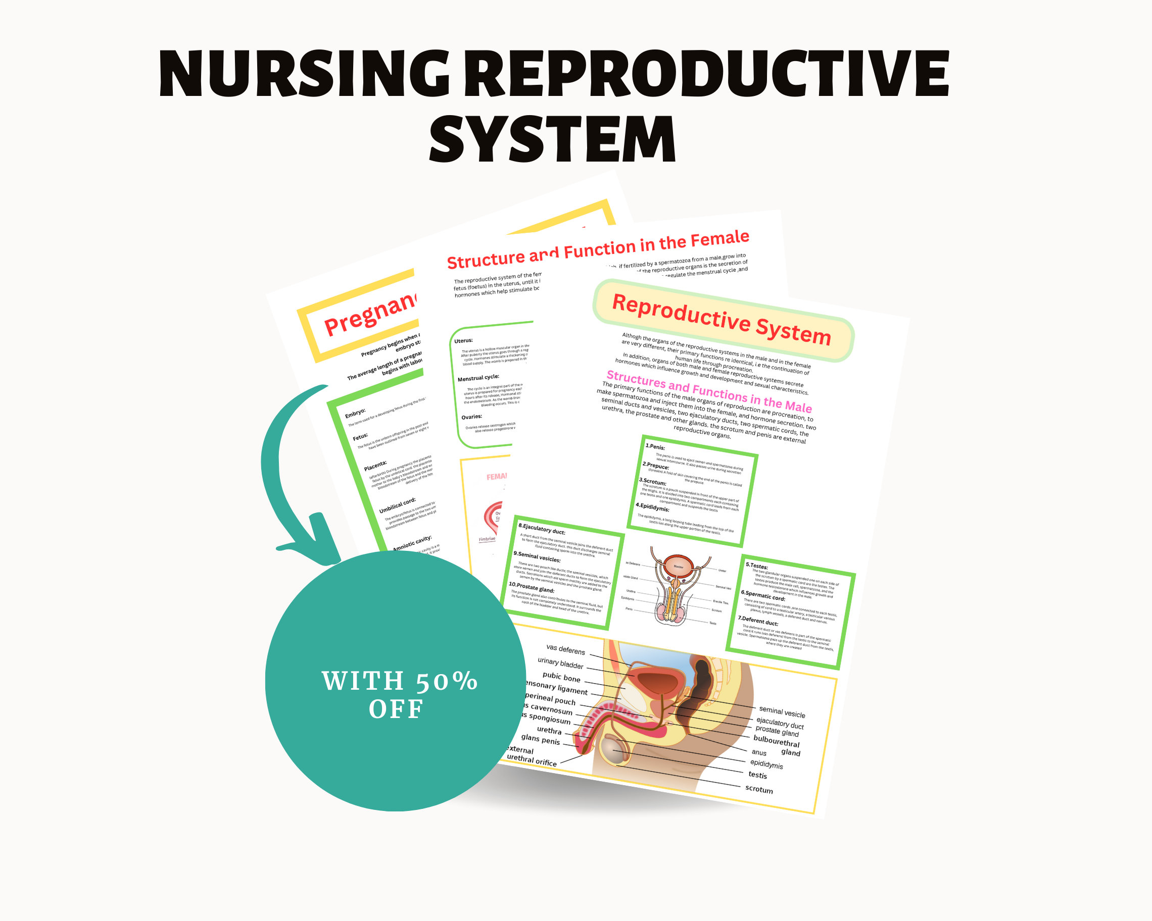 MED SURG: Reproductive System Nursing Notes, Reproductive System ...