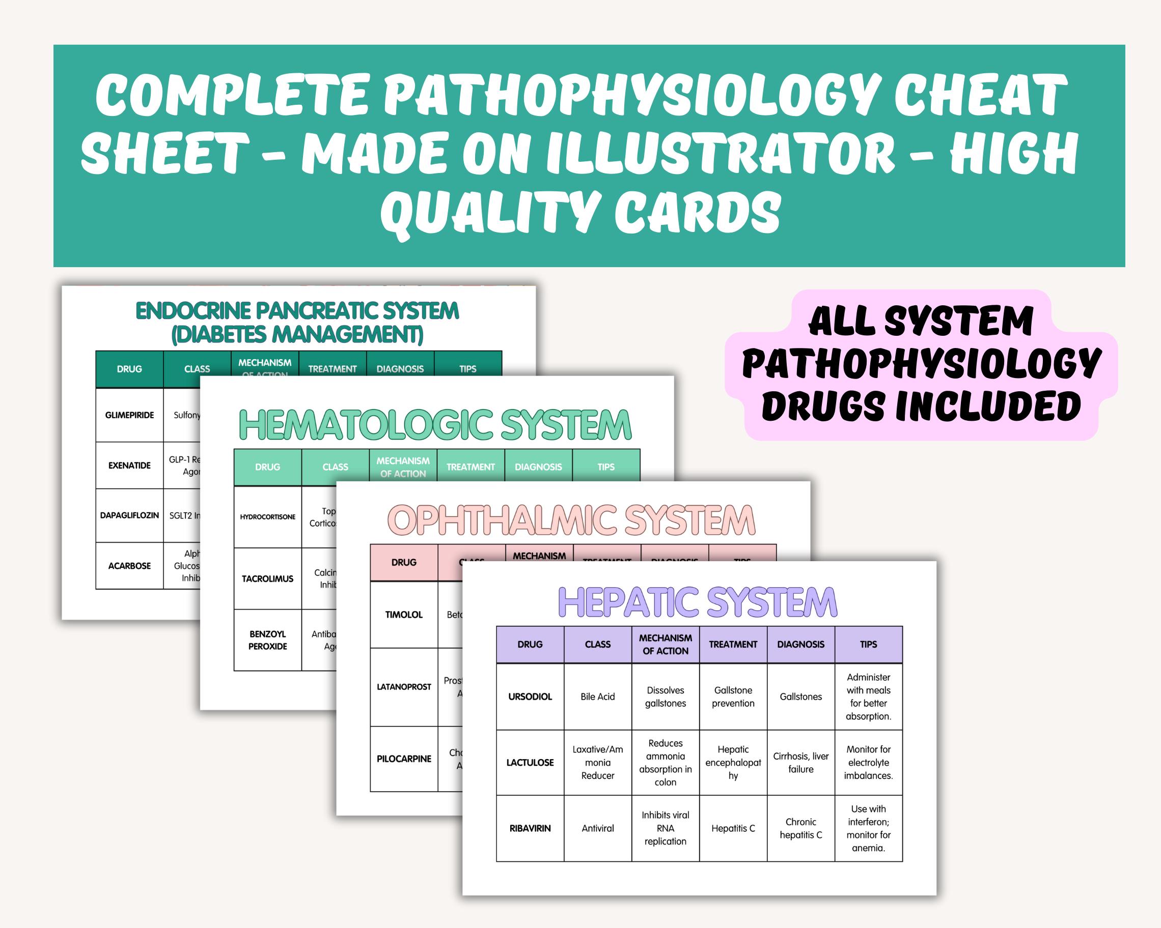 Pathophysiology Cheat Sheet Bundle 2025, Pathophysiology Nursing ...