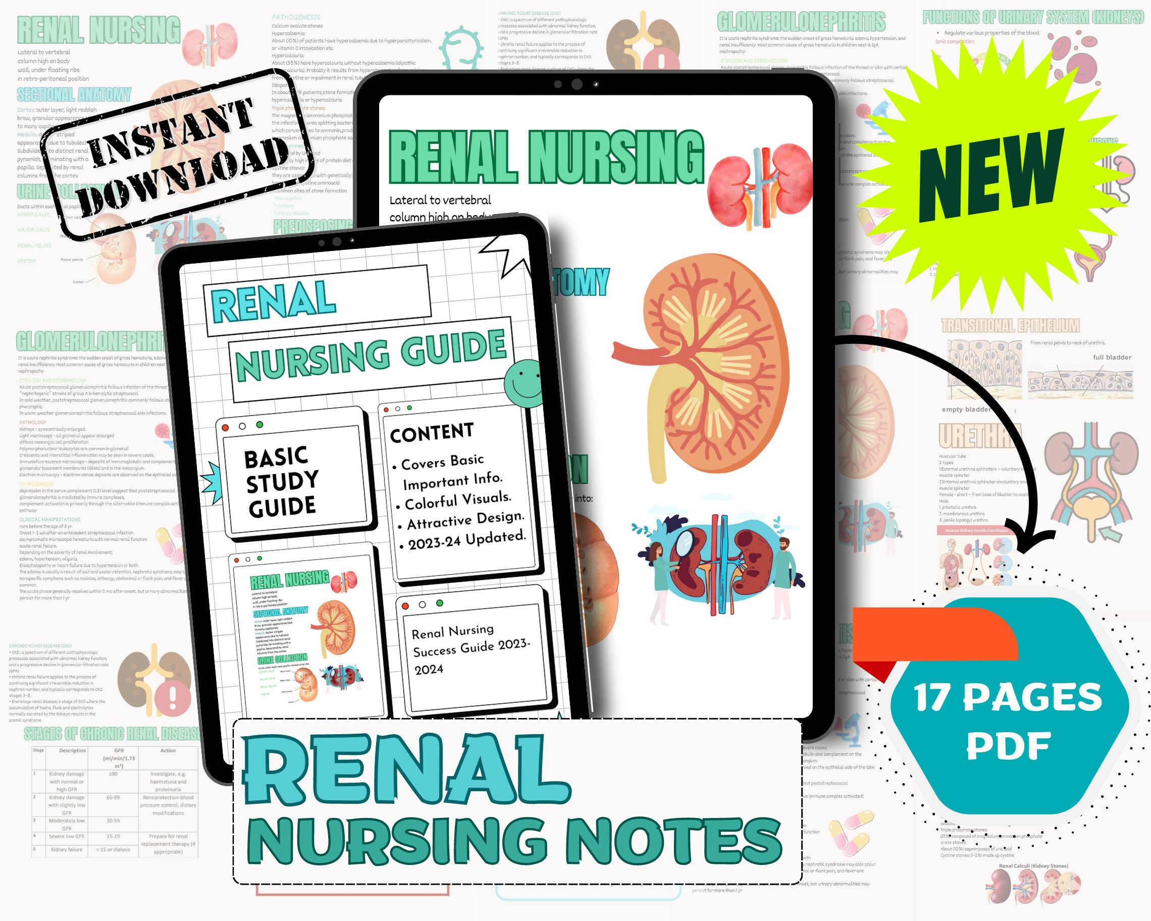 Ultimate Nursing School Notes, Nursing Notes, Nursing Bundle, Nursing ...