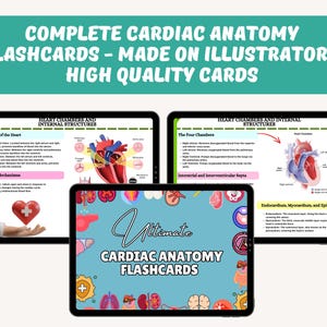 Cardiac Anatomy Flashcards: Cardiovascular System Study Guide (digital ...