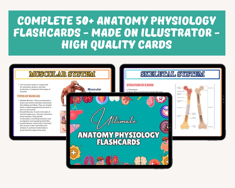 Anatomy & Physiology Flashcards: the Ultimate Study Guide - Etsy