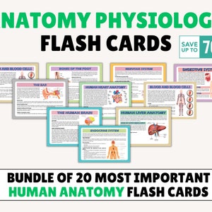 Anatomy and Physiology Flashcards | Anatomy Study Guide | Nursing Notes ...
