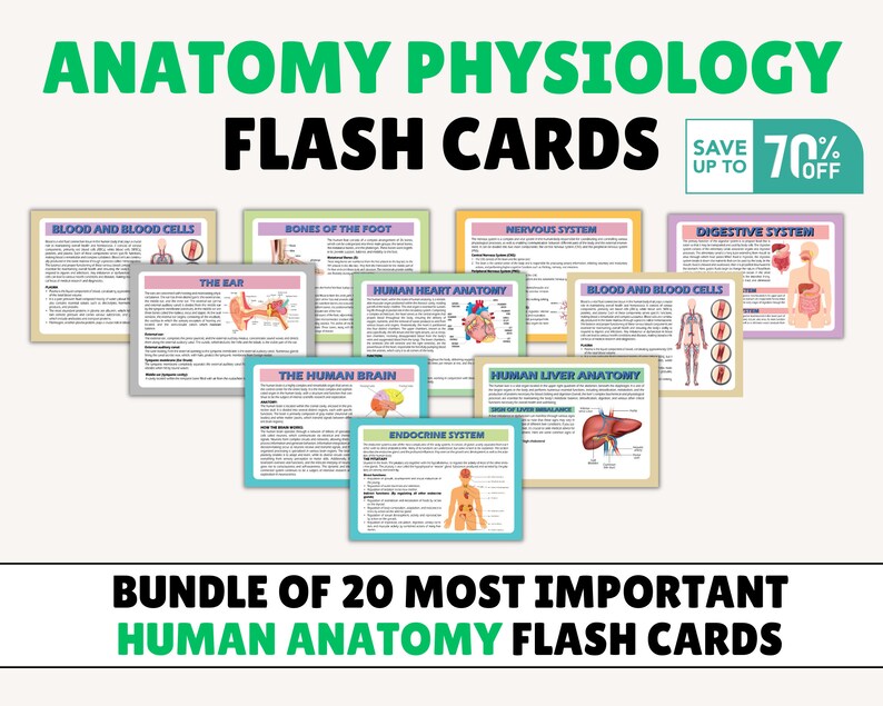 Anatomy and Physiology Flashcards Anatomy Study Guide Nursing Notes ...