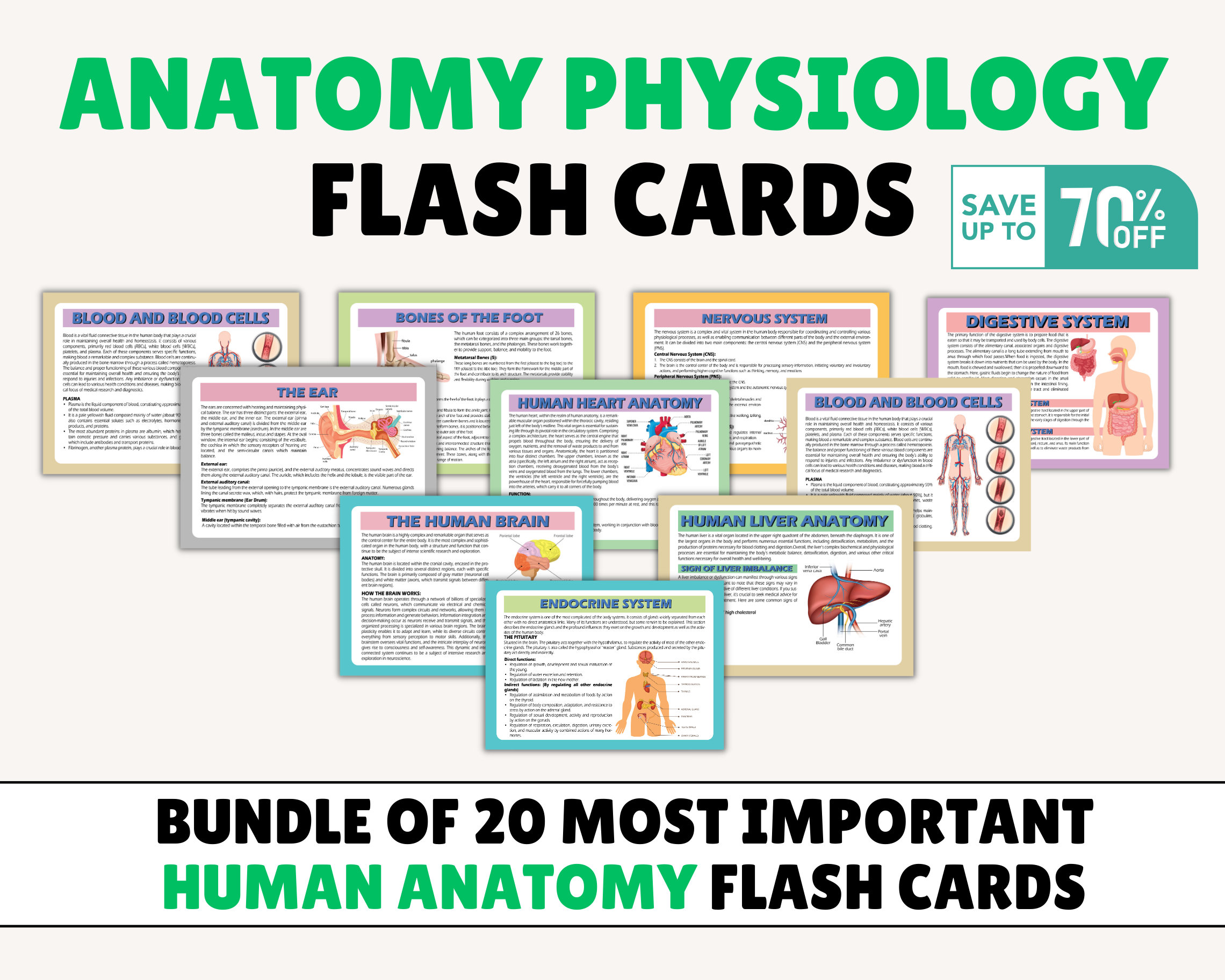 Anatomy Physiology Flashcards, Anatomy Flashcards, Physiology ...
