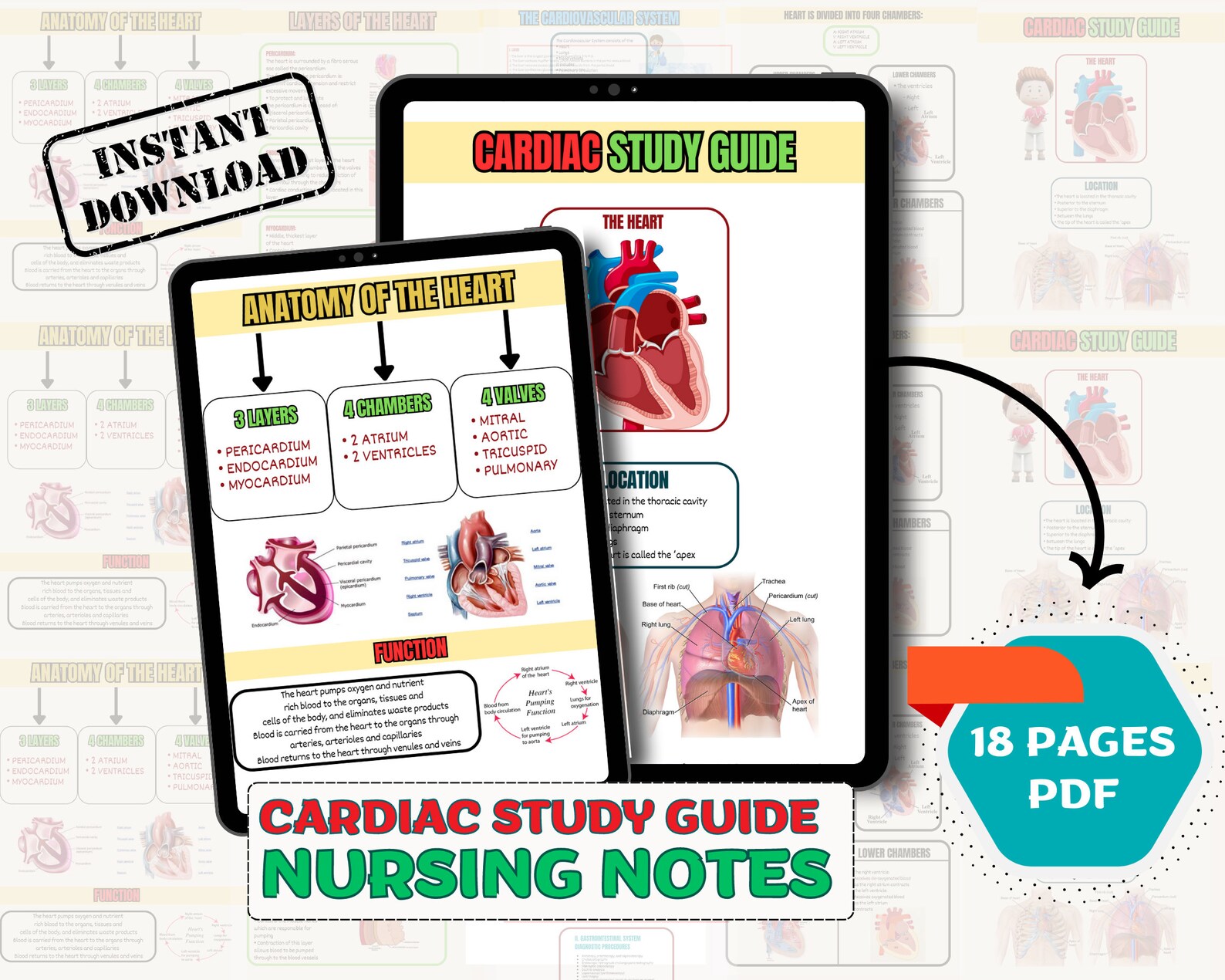 Ultimate Nursing School Notes, Nursing Notes, Nursing Bundle, Nursing ...