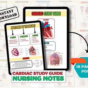 Ultimate Nursing School Notes, Nursing Notes, Nursing Bundle, Nursing ...