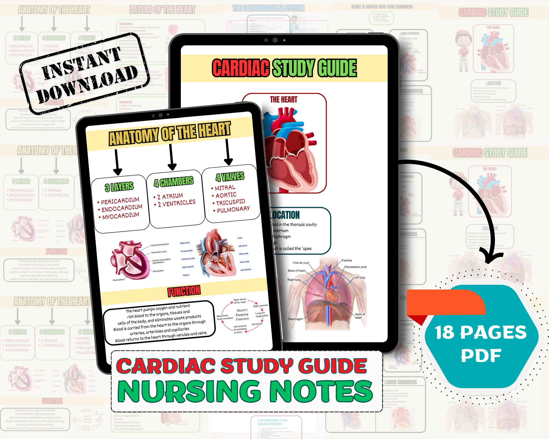 Ultimate Nursing School Notes, Nursing Notes, Nursing Bundle, Nursing ...