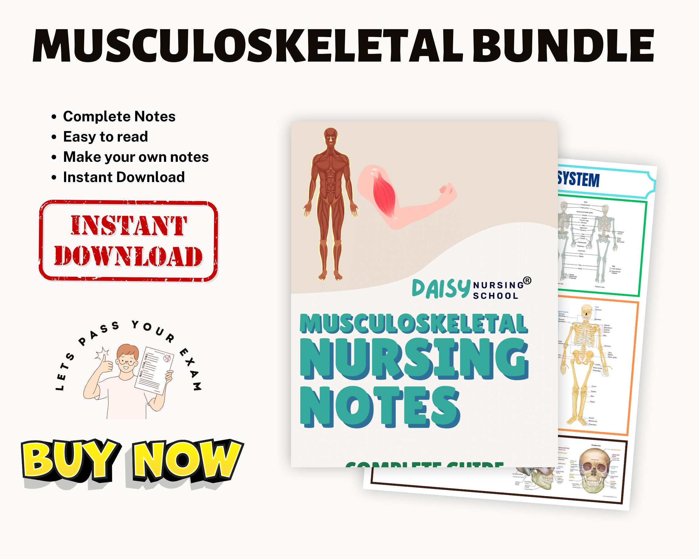 MED SURG: Musculoskeletal Anatomy Notes Musculoskeletal - Etsy