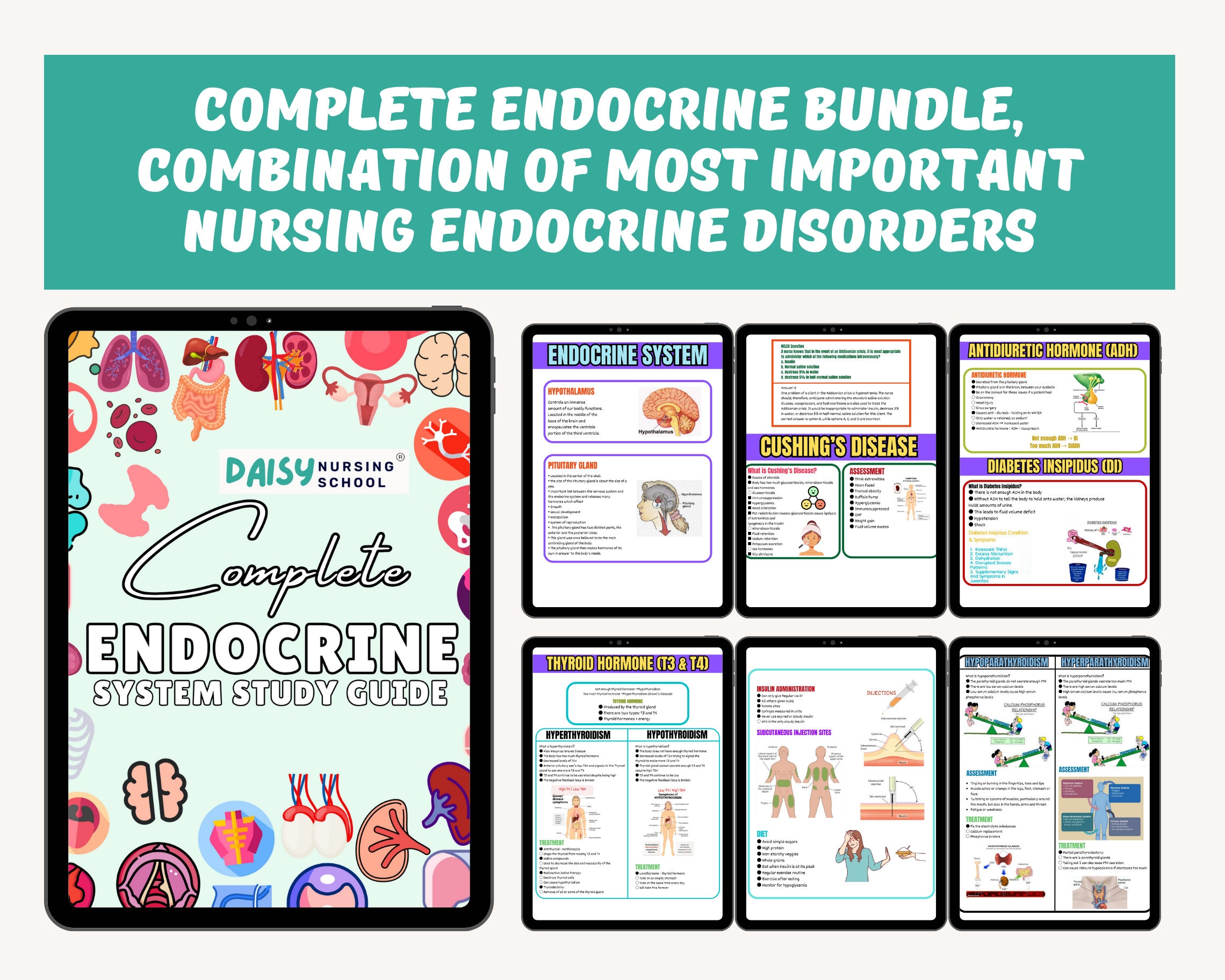 Endocrine System Nursing Study Guide, Endocrine Disorders, Endocrine ...