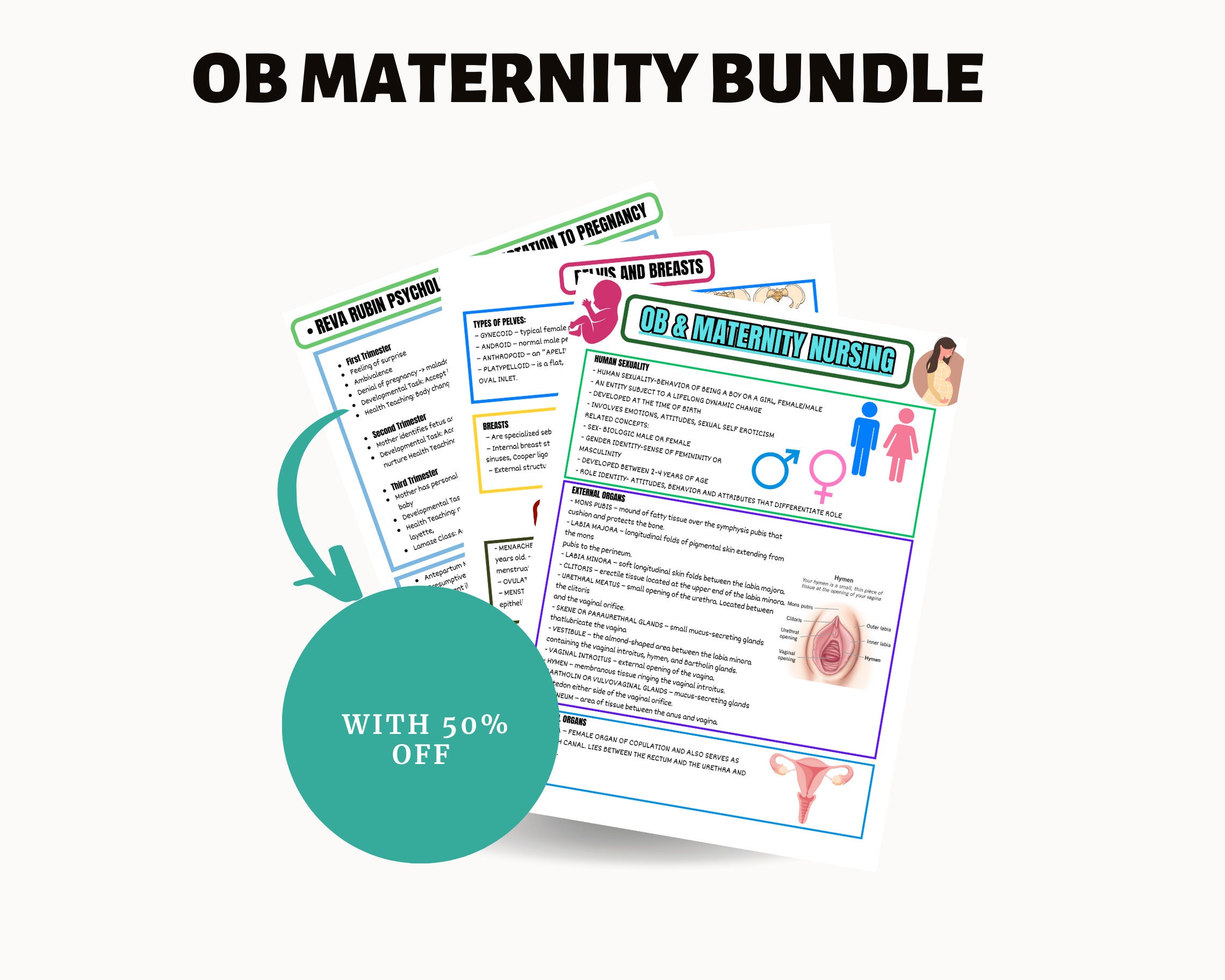Ob Maternity Nursing Notes 43 Pages, Ob Maternity Bundle, Nursing Study ...
