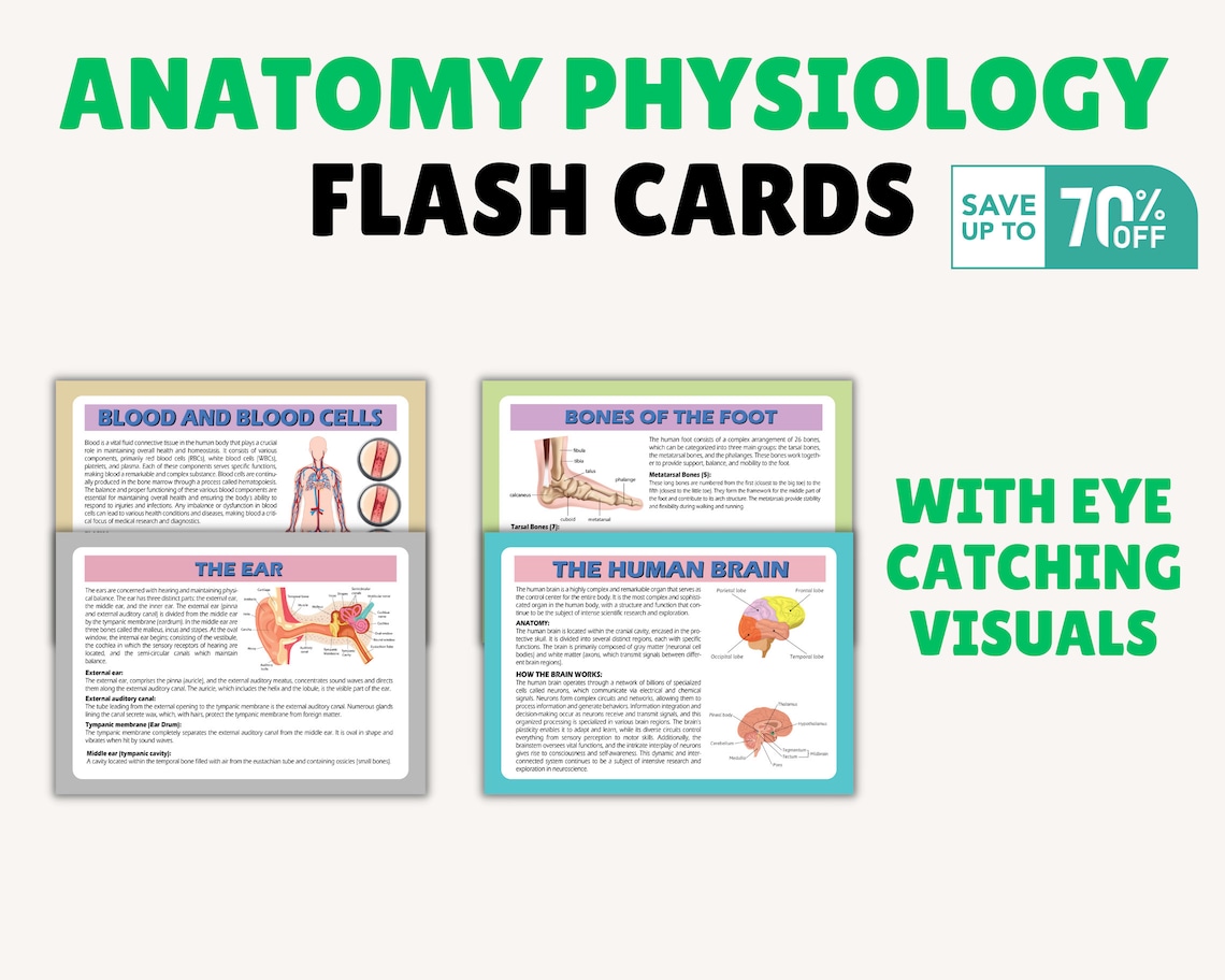 Anatomy Physiology Flashcards, Anatomy Flashcards, Physiology Flashcards, Anatomy Study Guide ...