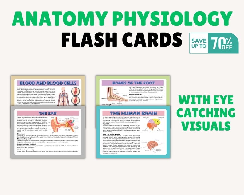 Anatomy Physiology Flashcards, Anatomy Flashcards, Physiology ...