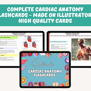 Cardiac Anatomy Flashcards | Cardiovascular System | Heart Anatomy ...