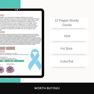 Cancer Nursing Notes: Study Guide Bundle (digital Download) - Etsy