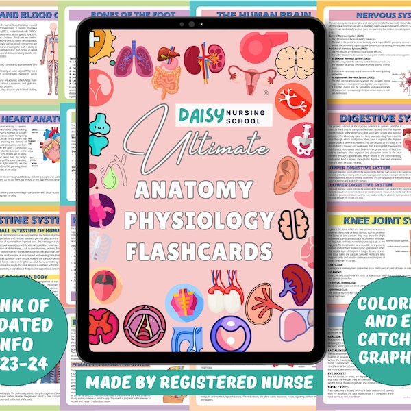 Anatomy Flashcards - Etsy
