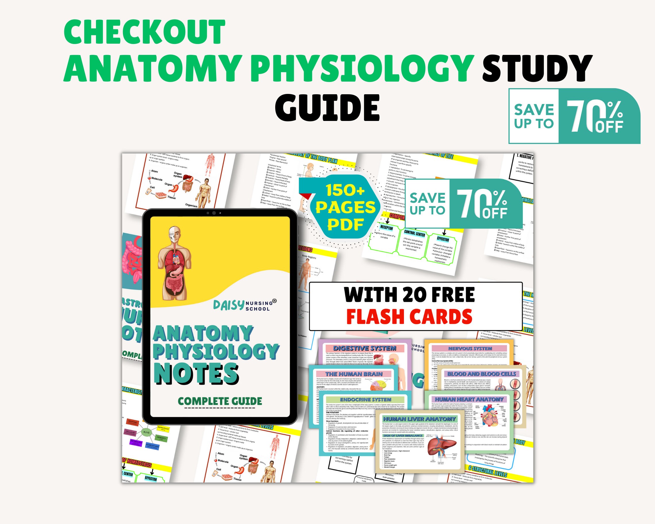 Anatomy Physiology Flashcards Anatomy Flashcards Physiology - Etsy