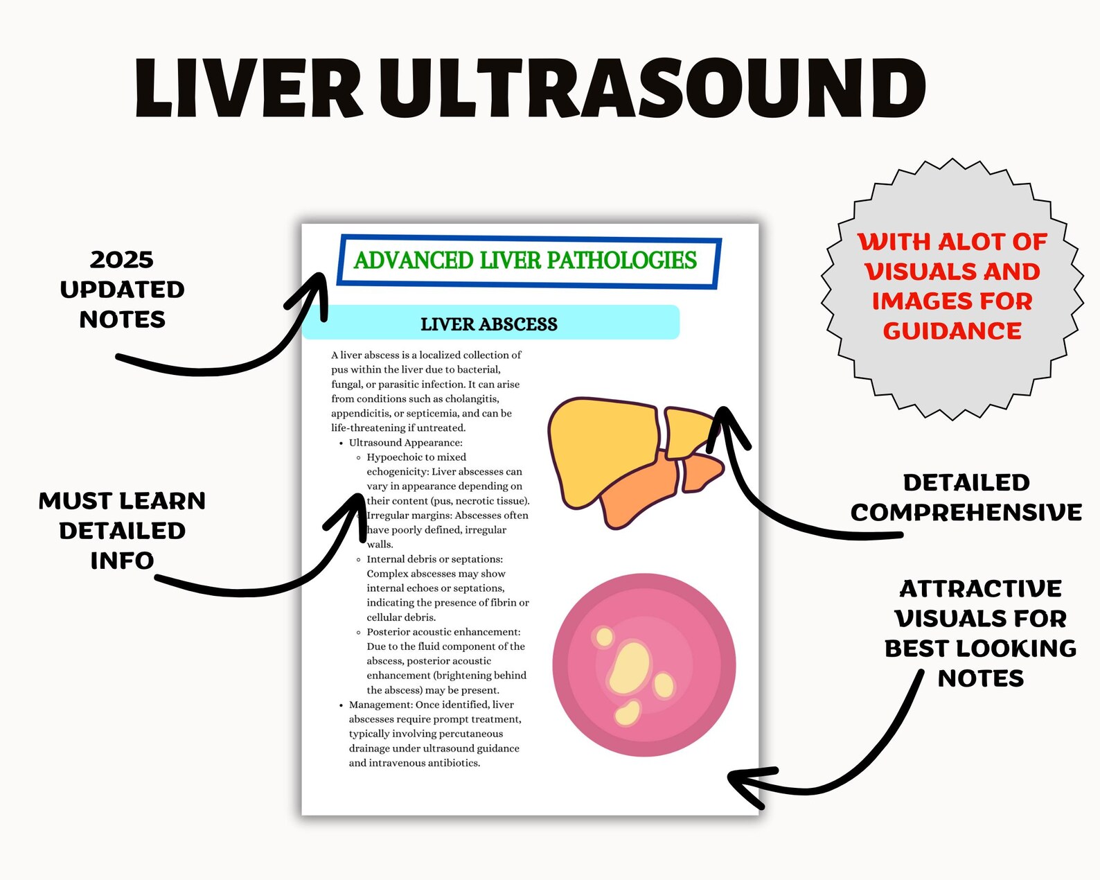 Liver Ultrasound Study Notes: Abdomen & Small Parts (PDF), Complete and ...