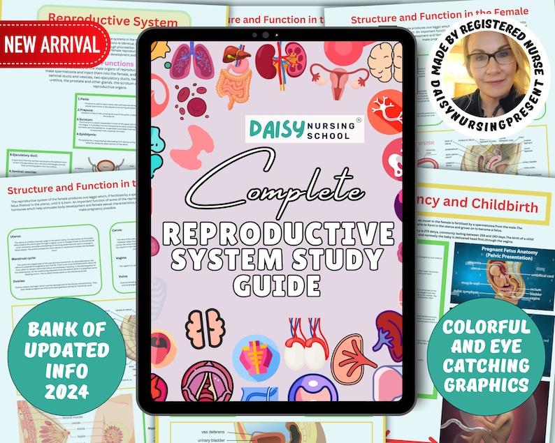 MED SURG: Reproductive System Nursing Notes, Reproductive System ...