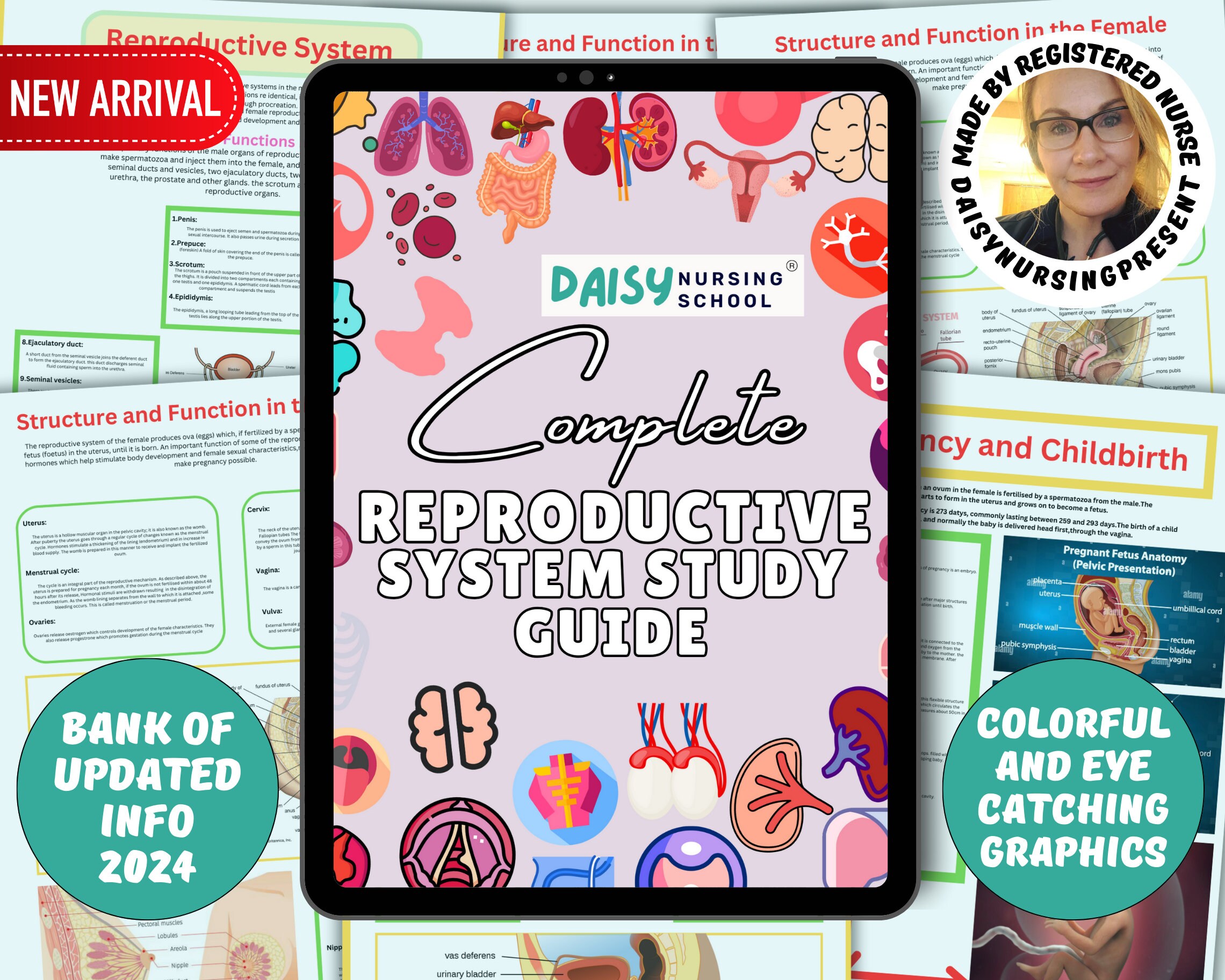 MED SURG: Reproductive System Nursing Notes, Reproductive System ...