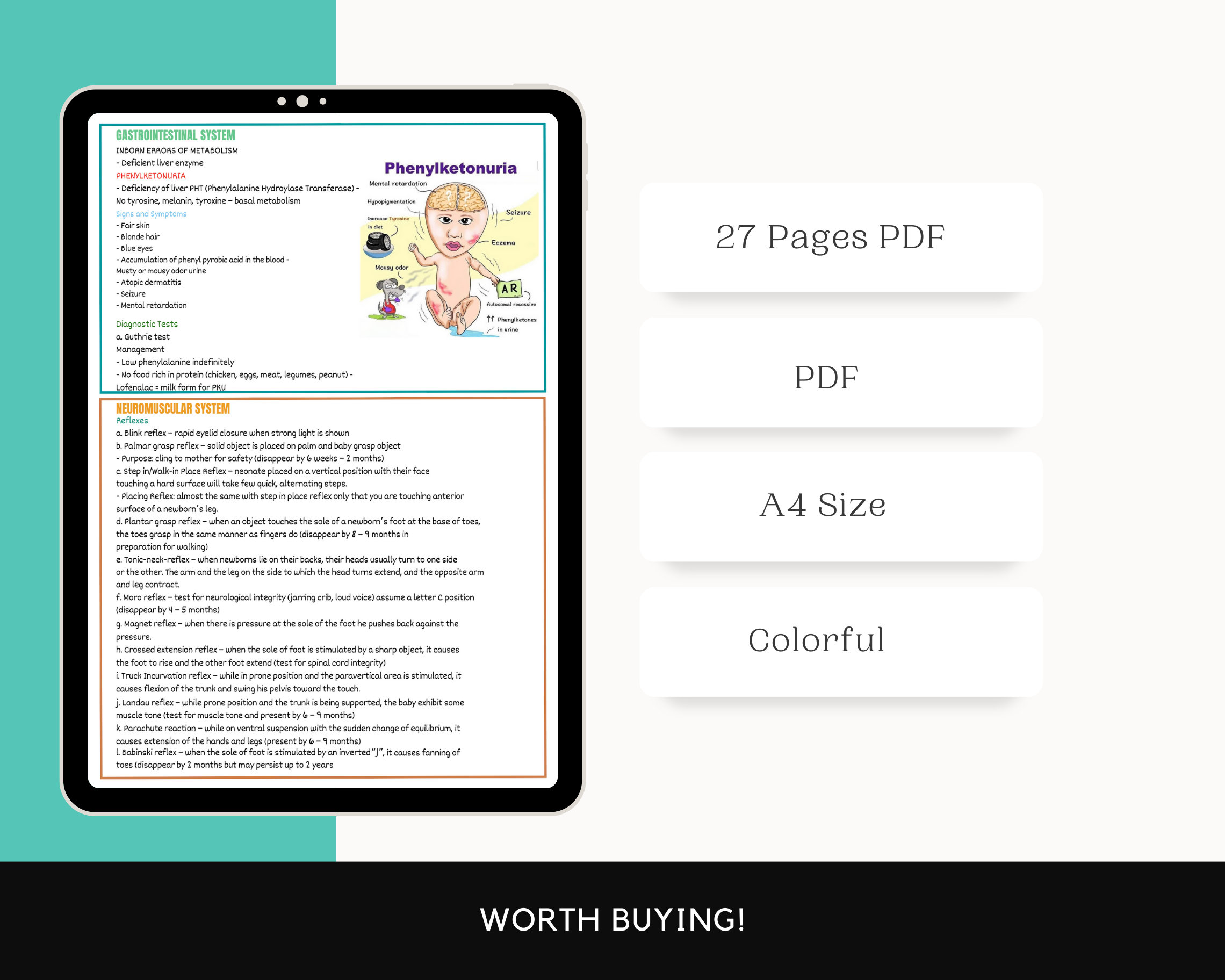 Pediatrics Nursing Study Guide Bundle, Nursing School Notes, Nursing ...