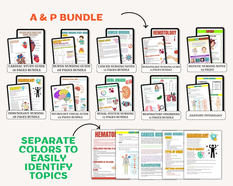 Med Surg Nursing Study Guide Bundle With Flashcards (digital Download ...