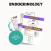 Endocrine System Nursing Study Guide, Endocrine Disorders, Endocrine ...