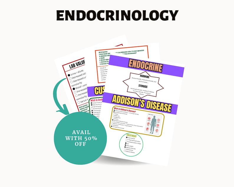 Endocrine System Nursing Study Guide: Disorders, Notes (digital ...