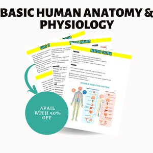 Anatomy Physiology Nursıng Bundle ALL BODY SYSTEMS With Free - Etsy