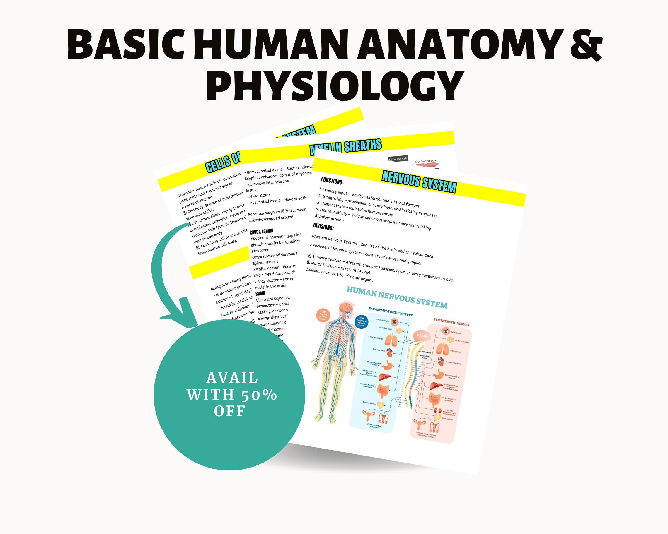 Anatomy Physiology Nursıng Bundle ALL BODY SYSTEMS With Free - Etsy