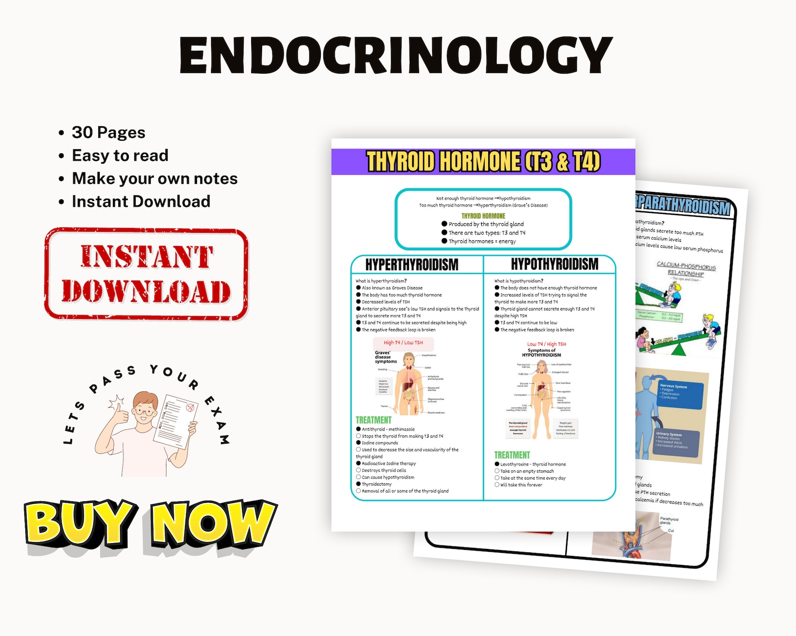 Endocrine System Nursing Study Guide, Endocrine Disorders, Endocrine ...