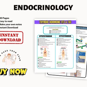 Endocrine System Nursing Study Guide: Disorders, Notes (digital ...