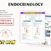 Endocrine System Nursing Study Guide, Endocrine Disorders, Endocrine ...