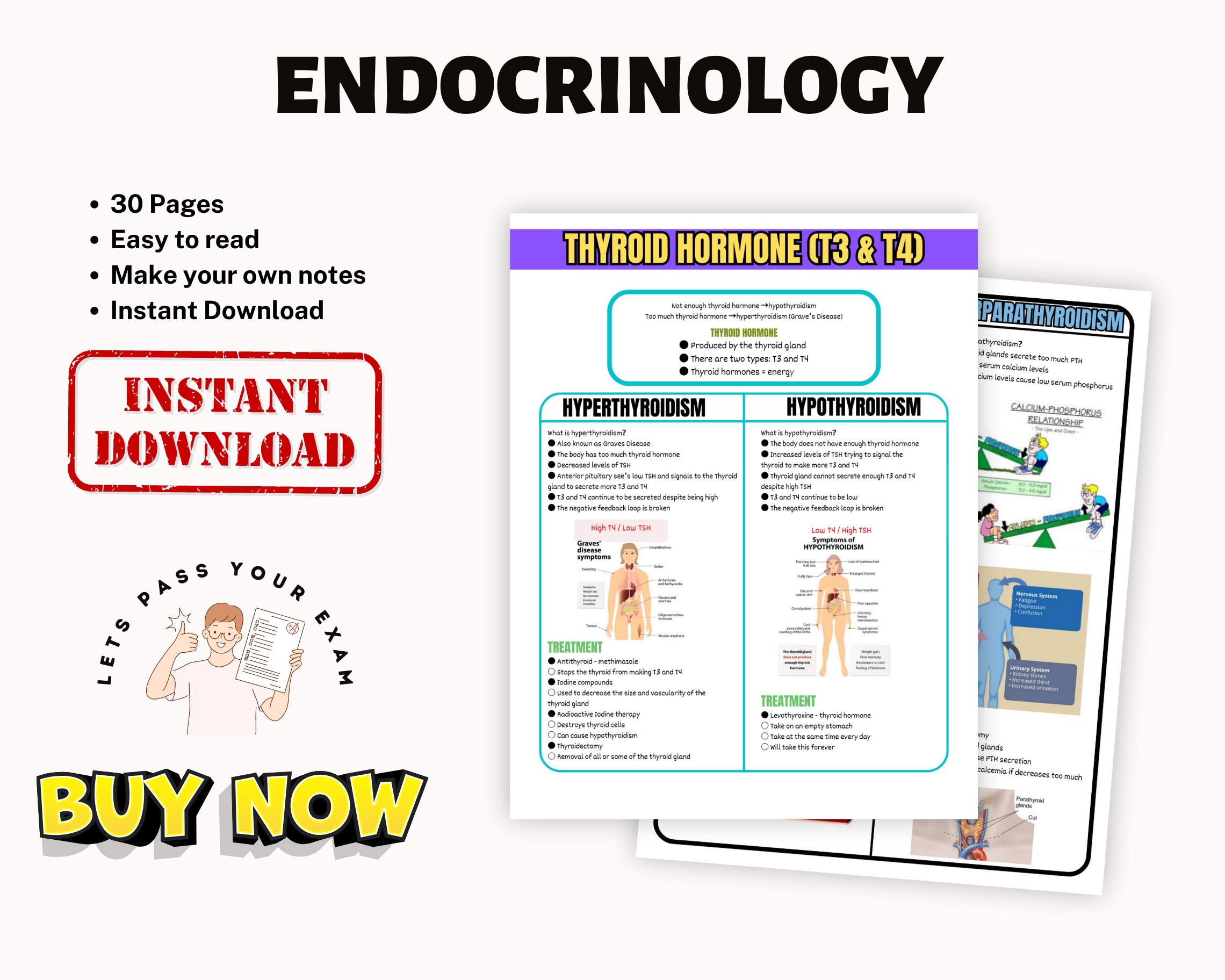 Endocrine System Nursing Study Guide, Endocrine Disorders, Endocrine ...