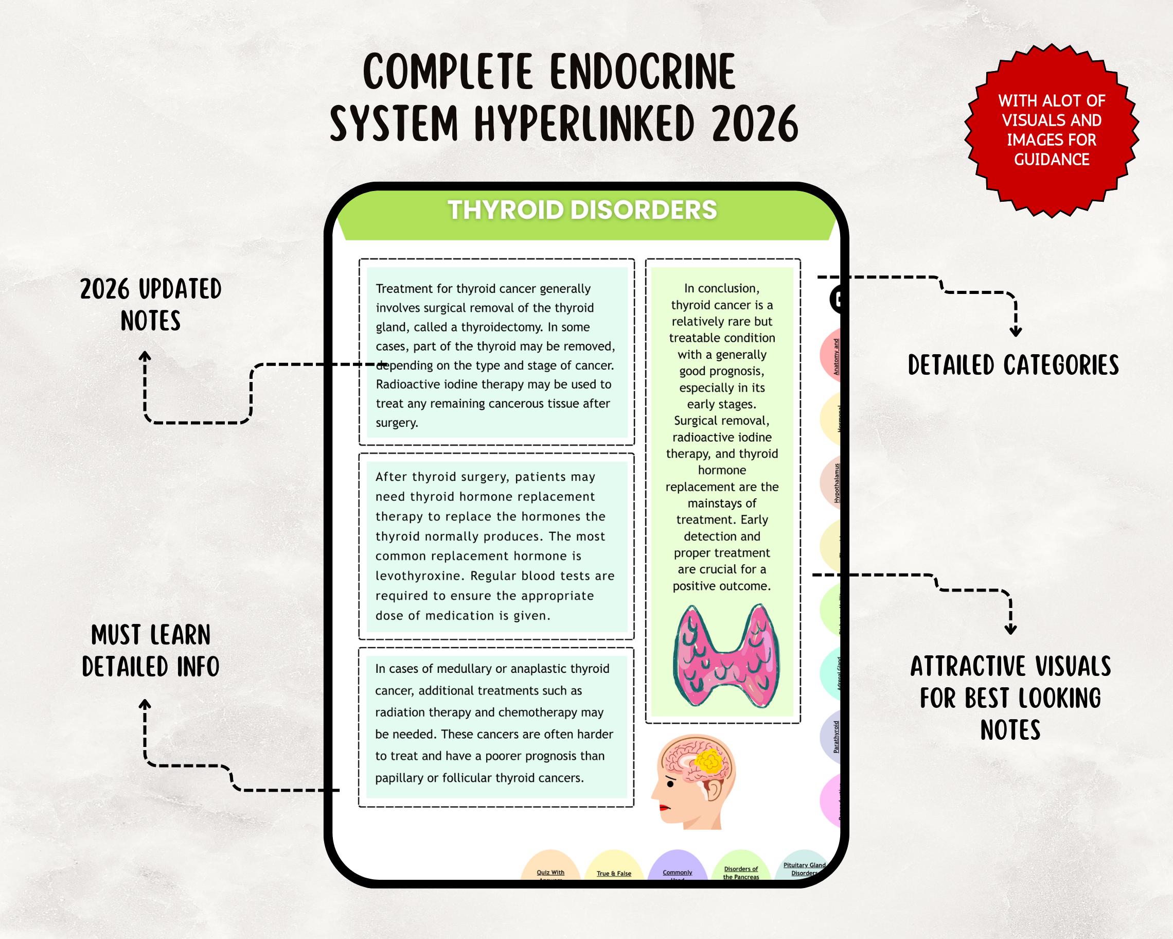 Endocrine System Nursing Study Guide: Disorders, UPGRADED, Hyperlinked ...