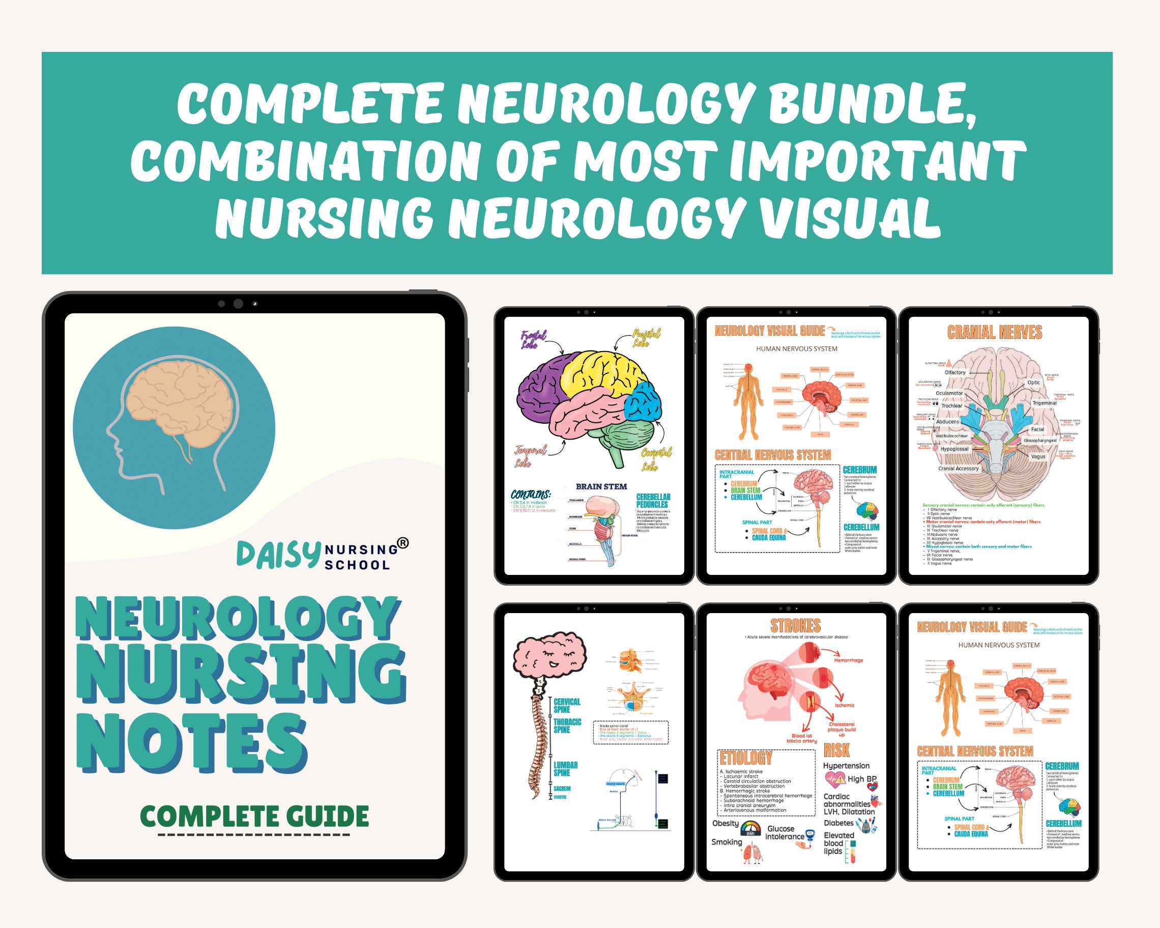 MED SURG: Neurological System, Neuro Bundle Notes, Med Surg Notes ...