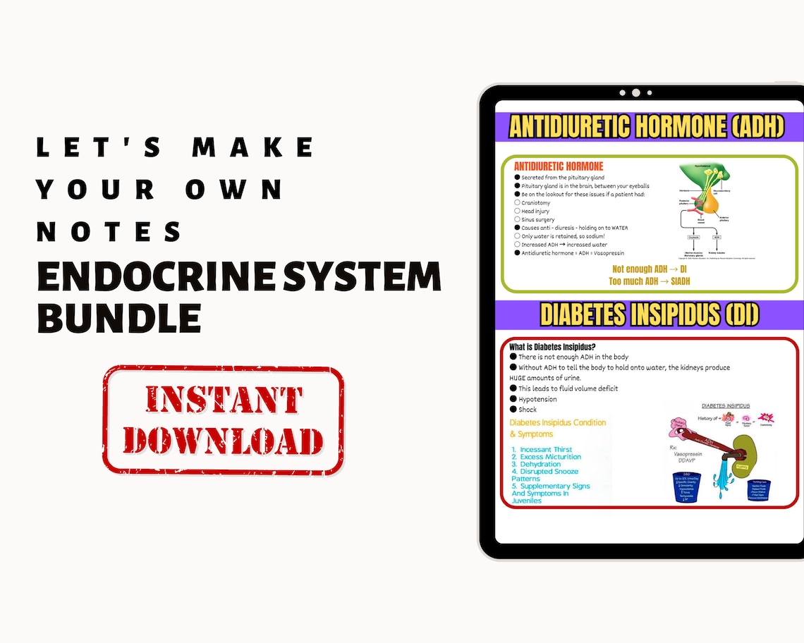 Endocrine System Nursing Study Guide, Endocrine Disorders, Endocrine ...
