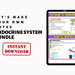 Endocrine System Nursing Study Guide: Disorders, Notes (digital ...