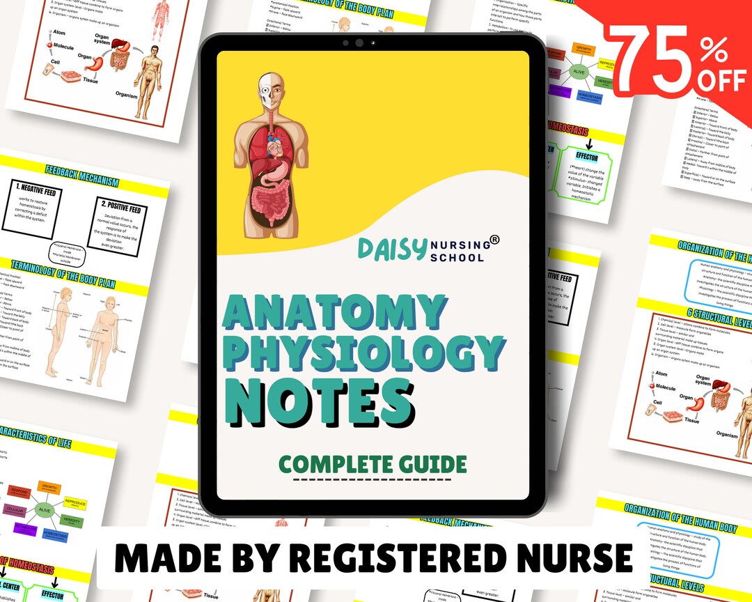 Complete Anatomy and Physiology Nursing Anatomy Study Guide - Etsy