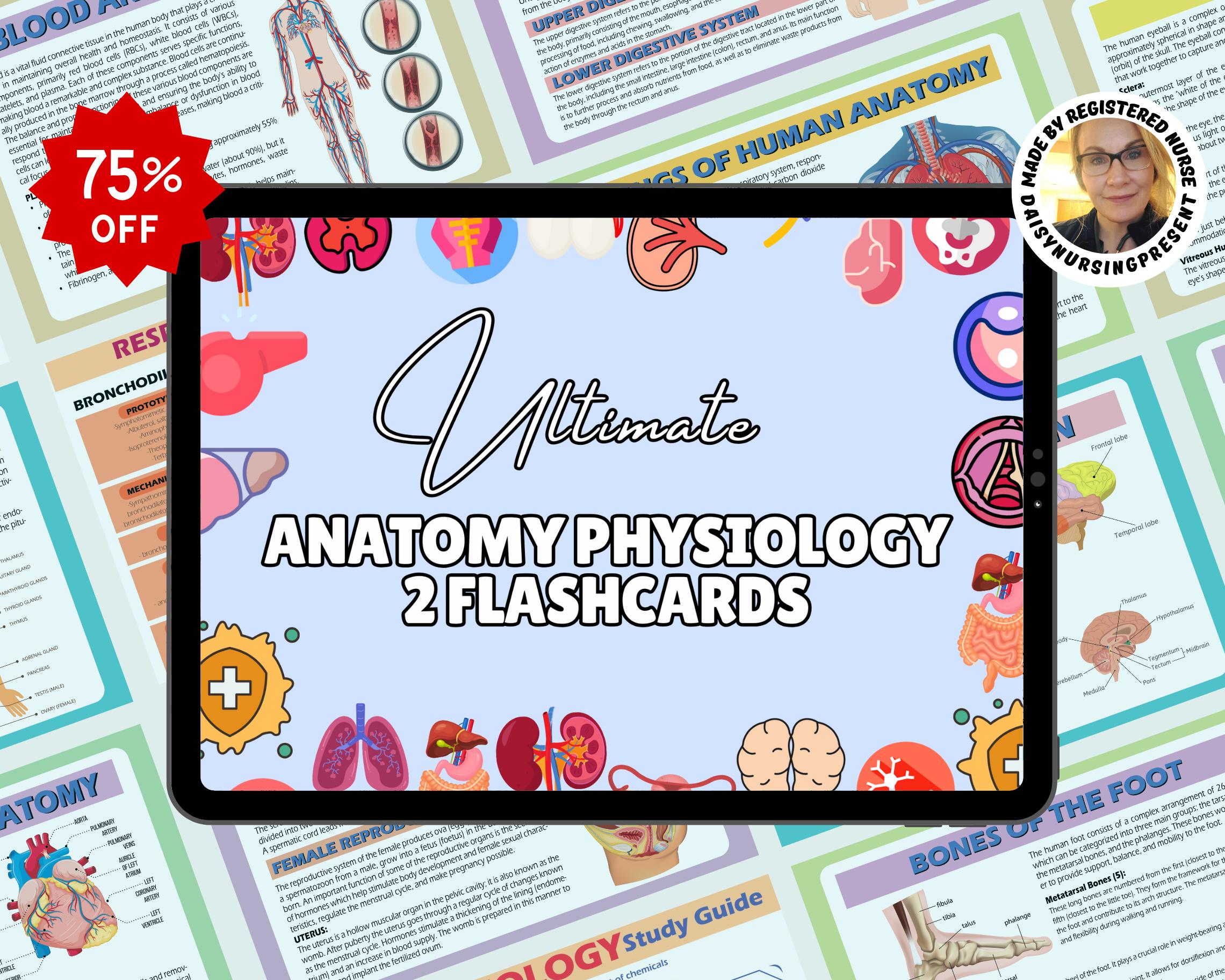 Anatomy and Physiology Flashcards Anatomy Study Guide Nursing Notes ...