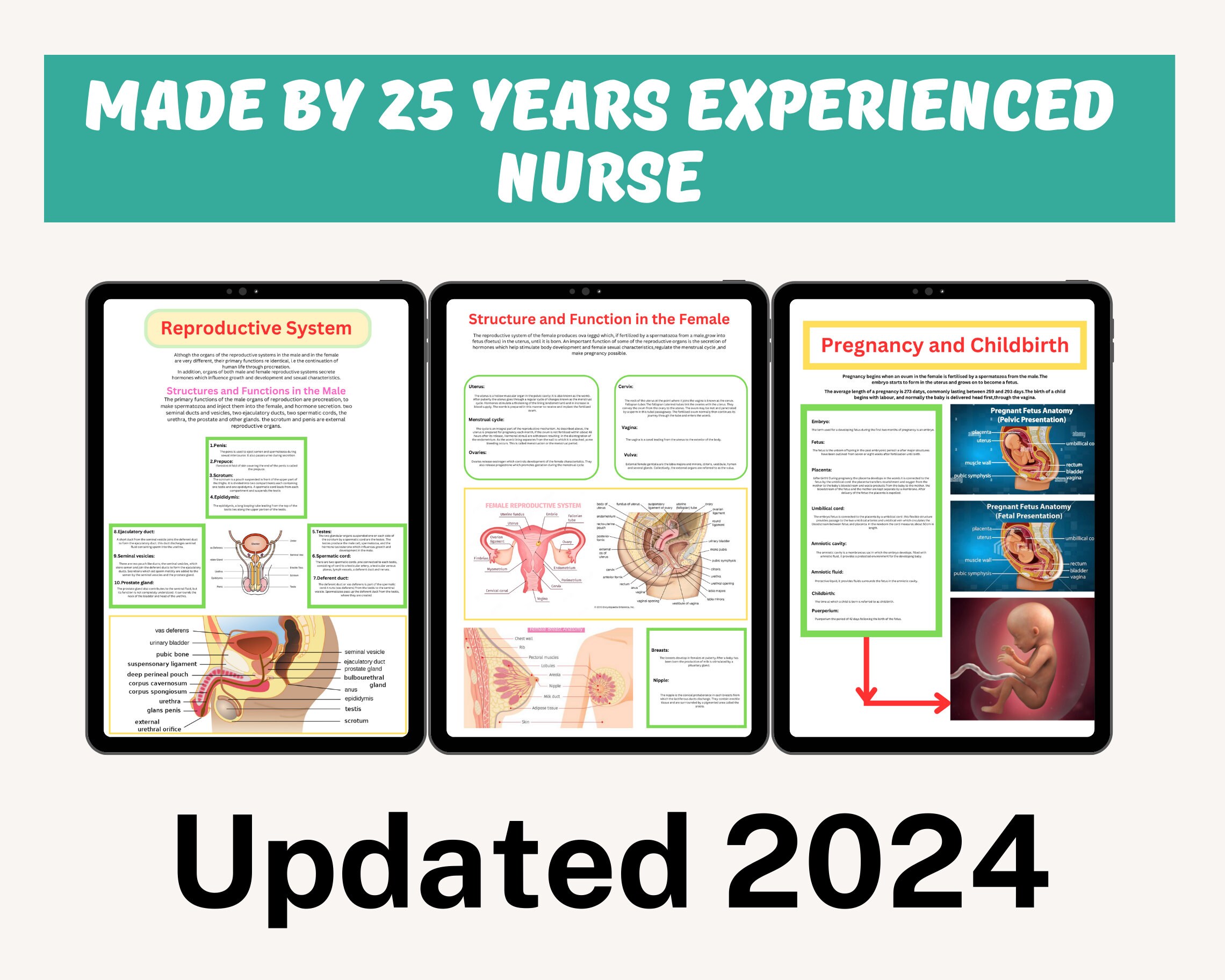 MED SURG: Reproductive System Nursing Notes, Reproductive System ...