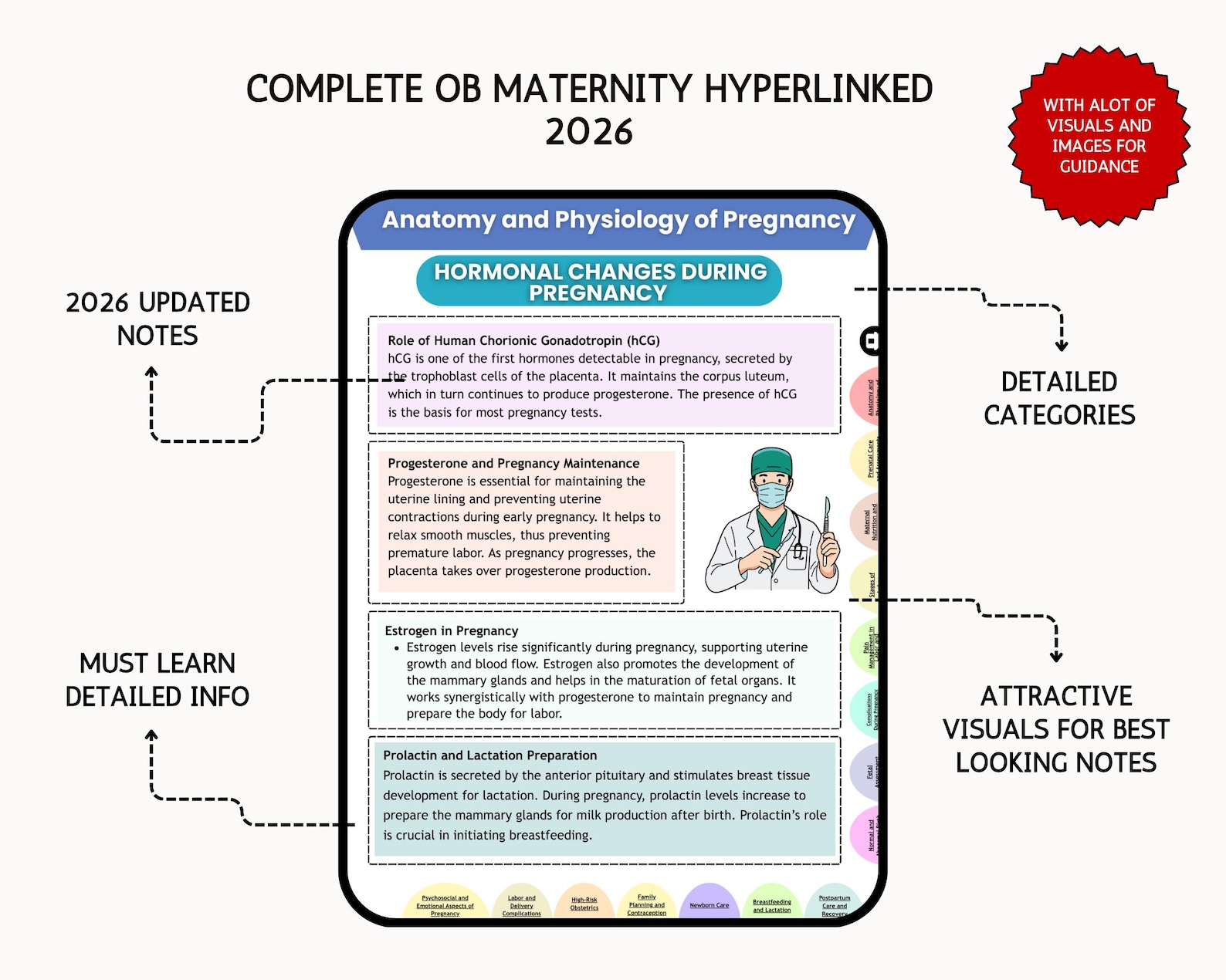 OB Maternity Nursing Notes: Study Guide Bundle, 220+ Pages Hyperlinked ...