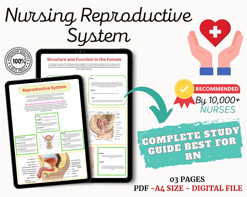 MED SURG: Reproductive System Nursing Notes, Reproductive System ...