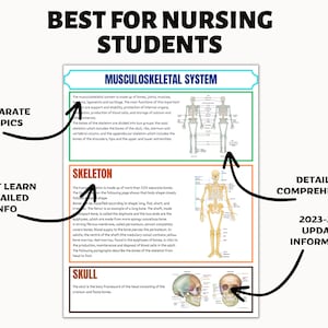 MED SURG: Musculoskeletal Anatomy Notes, Musculoskeletal System ...
