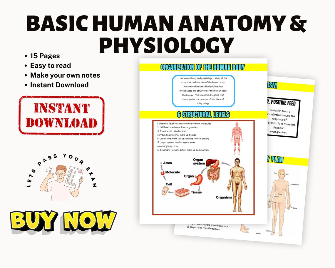 Anatomy Physiology Nursıng Bundle ALL BODY SYSTEMS With Free - Etsy