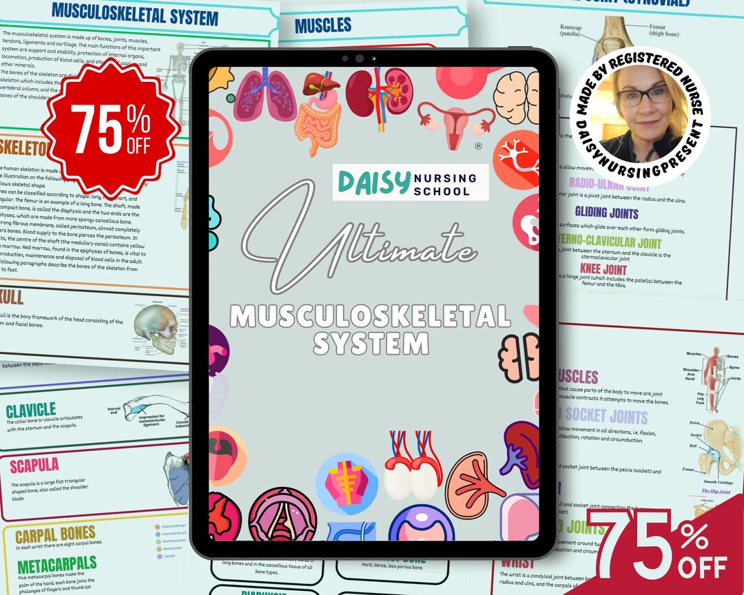 MED SURG: Musculoskeletal Anatomy Notes, Musculoskeletal System ...