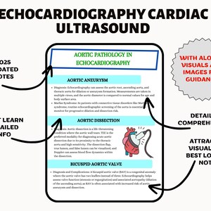 Echocardiography Cardiac Ultrasound Study Guide (digital Download ...