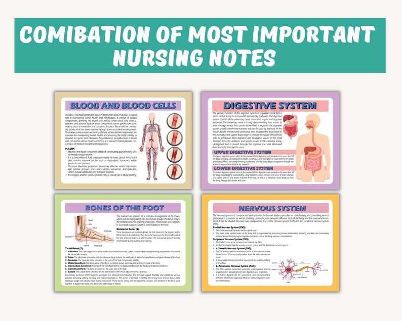 Anatomy & Physiology Flashcards: Human Body Study Guide (digital ...